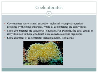 Marine pharmacognosy | PPTX