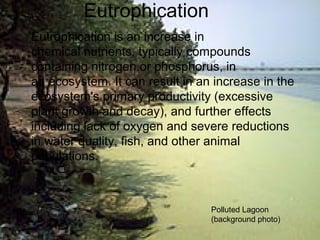 Marine pollution | PPT