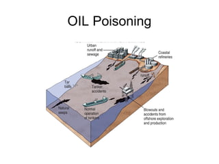 Marine pollution | PPT