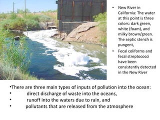 Marine pollution | PPT