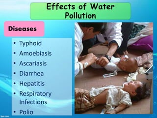 Marine pollution | PPTX