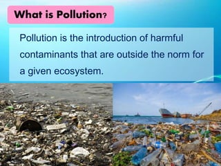 Marine pollution | PPT