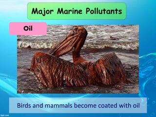 Marine pollution | PPT