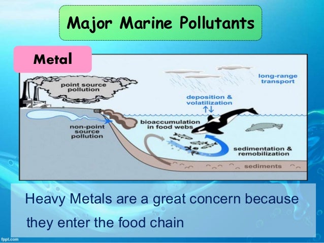 Marine pollution