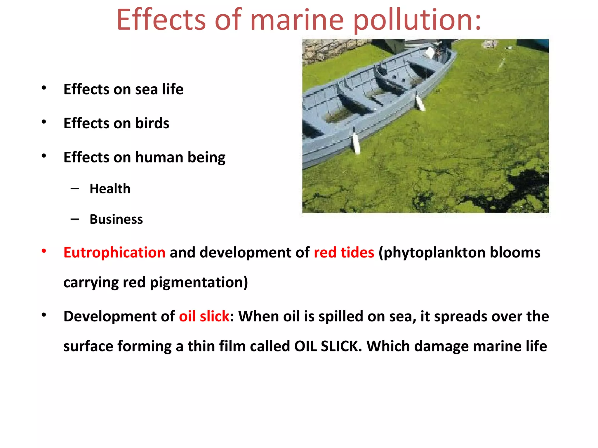 Marine pollution | PPT