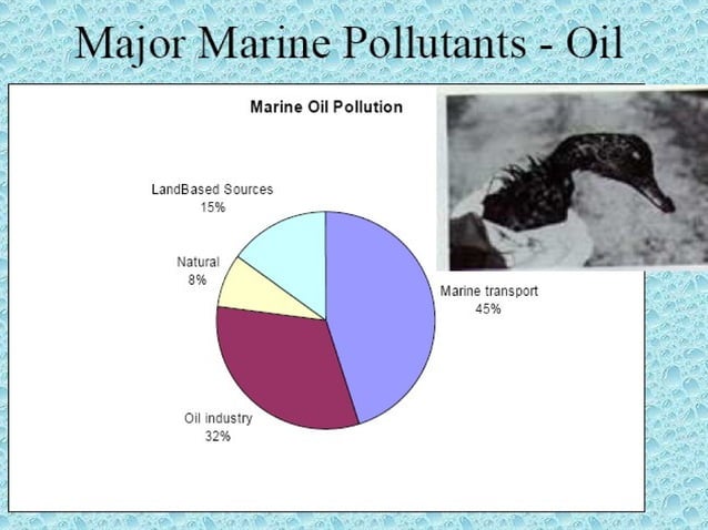 Marine pollution | PPT