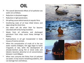 Marine pollution | PPT