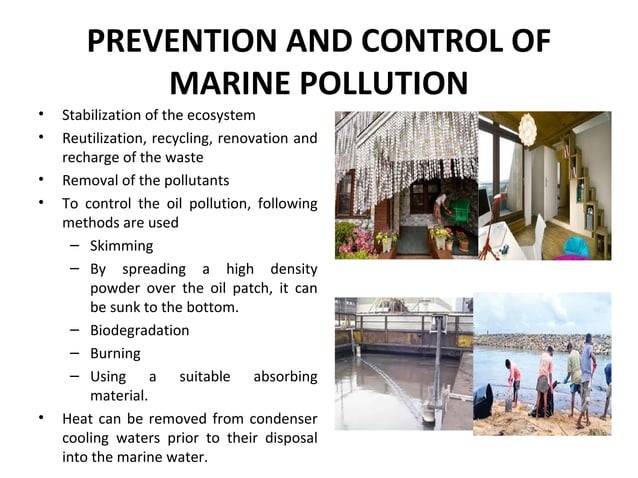Marine pollution | PPT