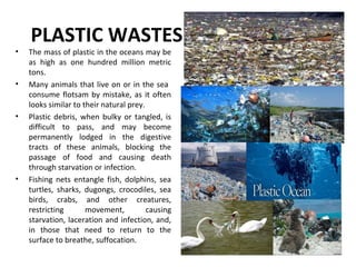 Marine pollution | PPT