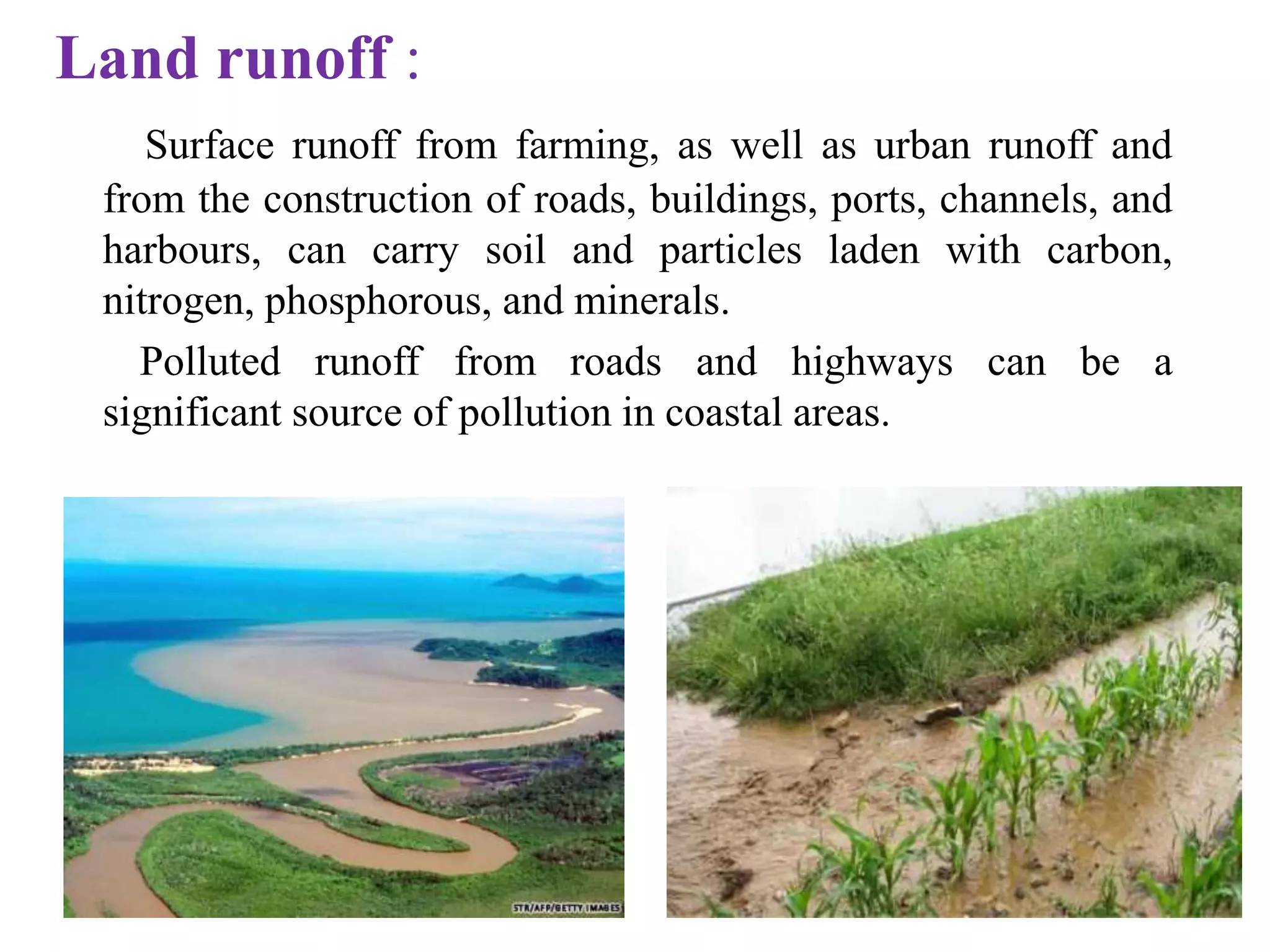 Marine pollution | PPTX