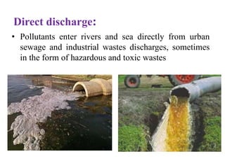 Marine pollution | PPTX