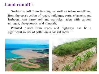 Marine pollution | PPTX