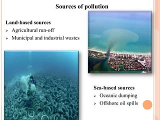 Ocean Dumping Causes