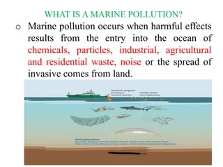 Marine pollution | PPT