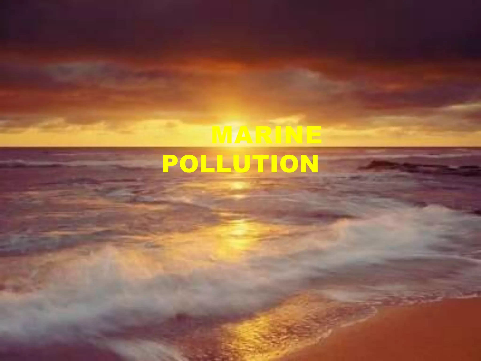 marinepollution.pptx