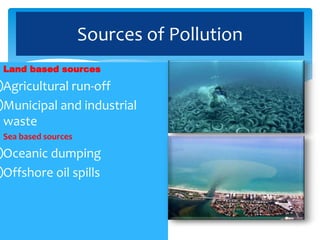 marine pollutions | PPT