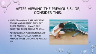 Marine pollution ppt | PPT