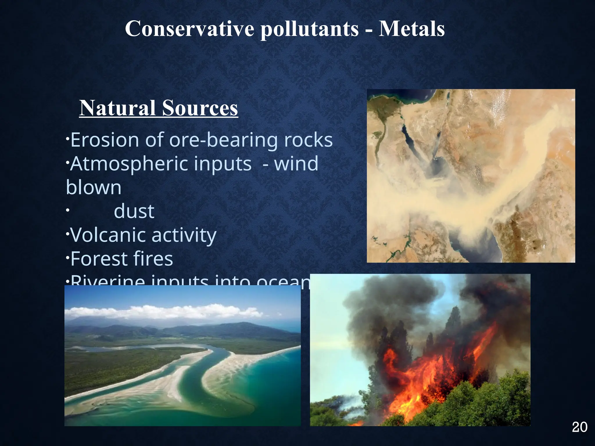 marinepollution (Environmental Science ) | PPTX