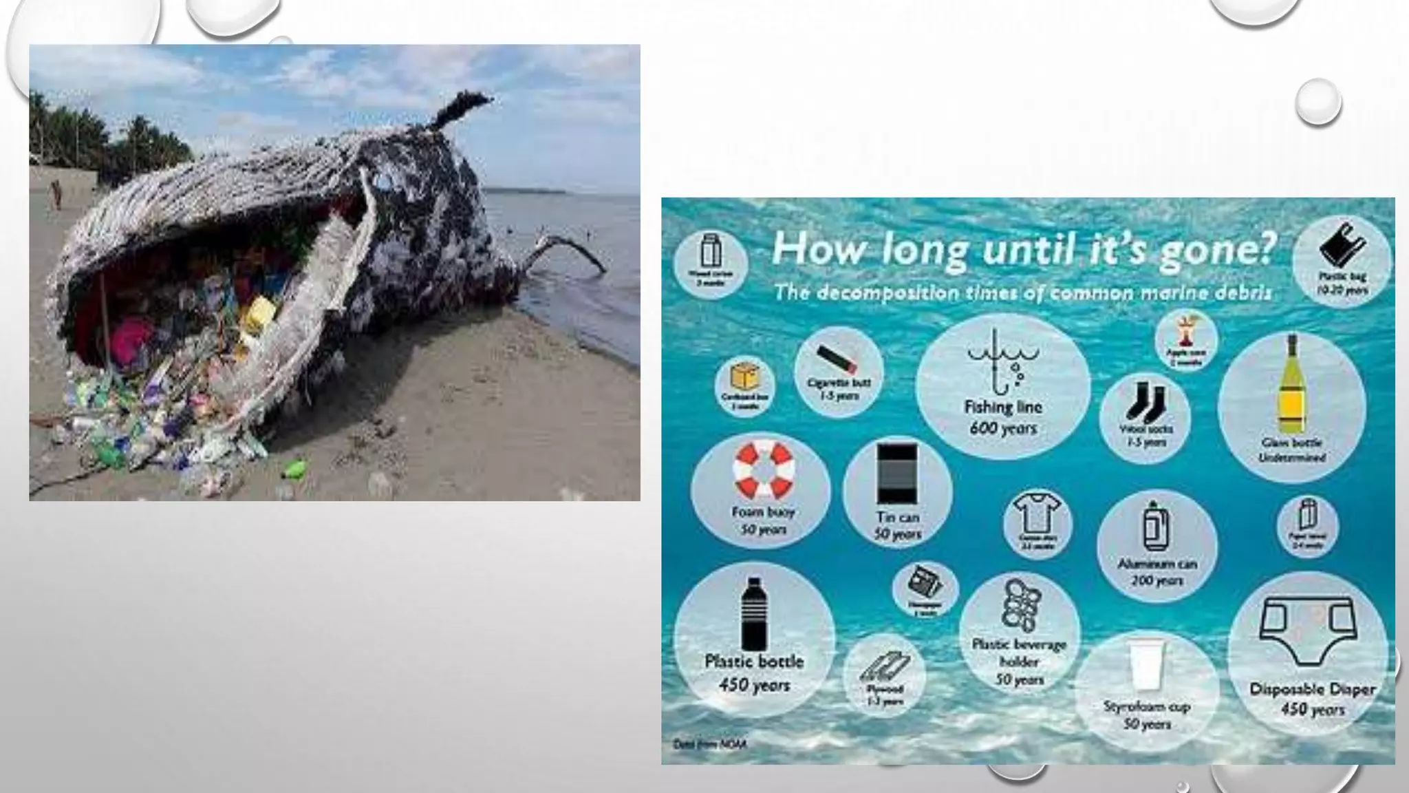 Marine pollution revised ed | PPTX