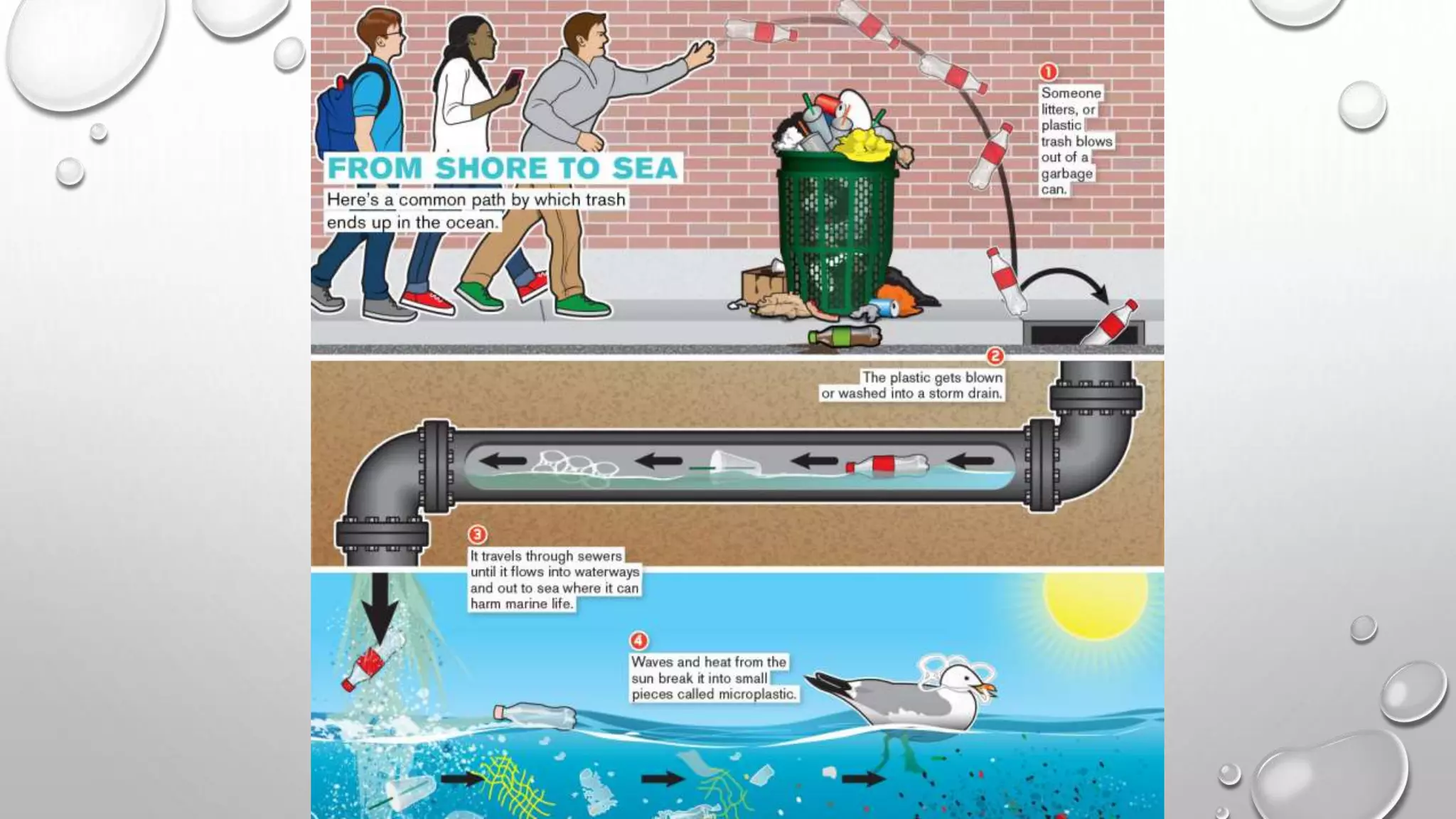 Marine pollution revised ed | PPTX