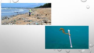 Marine pollution revised ed | PPT