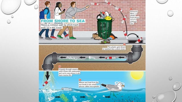 Marine pollution revised ed | PPTX