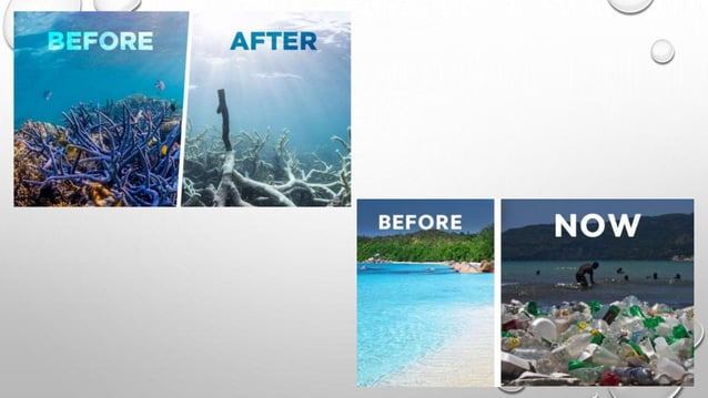 Marine pollution revised ed | PPTX