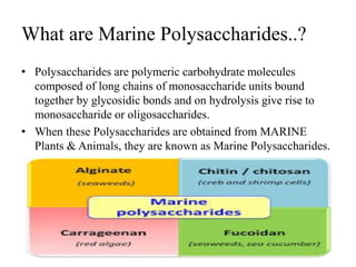 Marine polysaccharides | PPTX