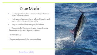 MARINE PRESENTATION!!!!!!!!!!!!1.pdf