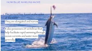 MARINE PRESENTATION!!!!!!!!!!!!1.pdf