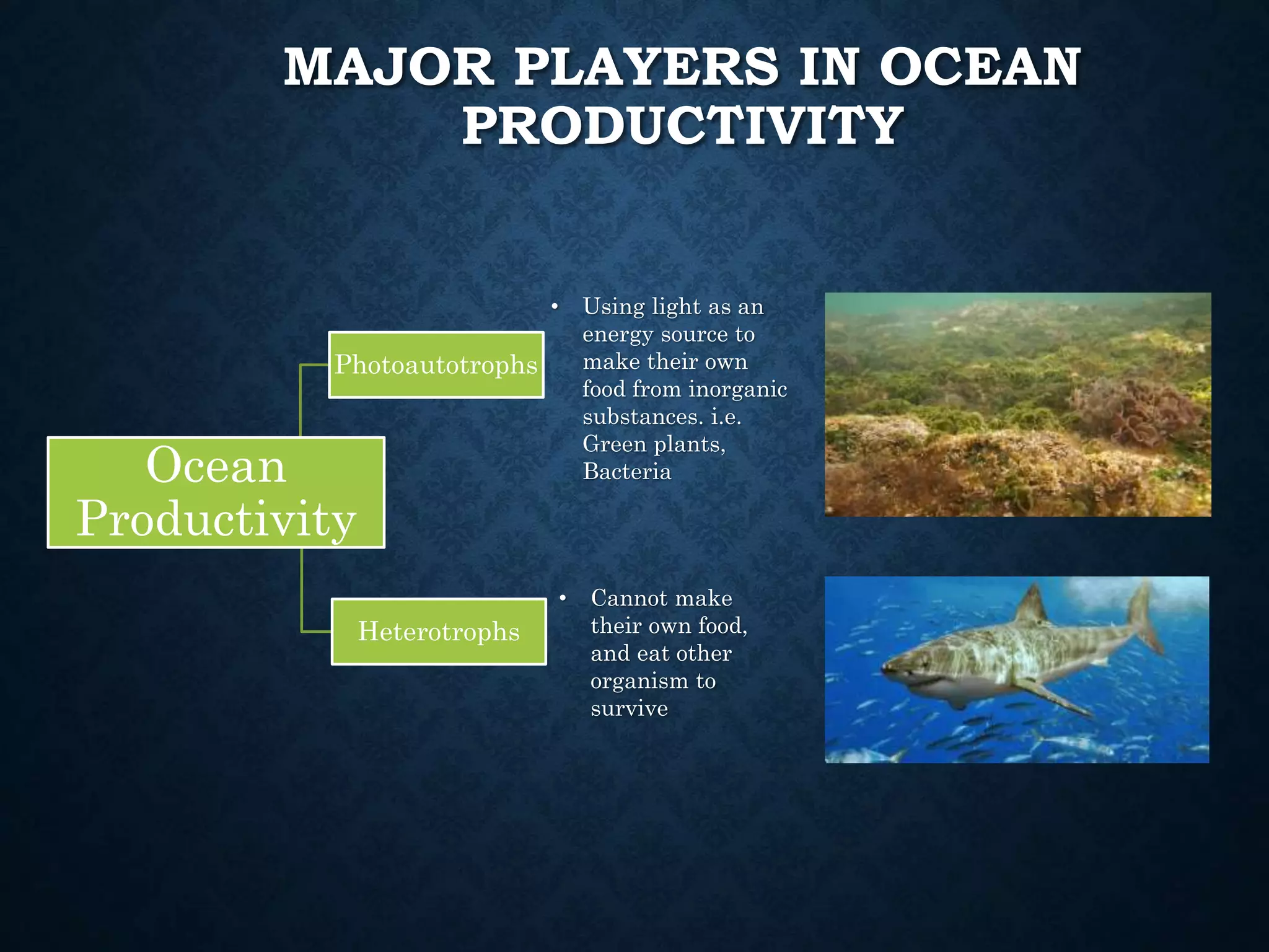 Marine Productivity | PPTX