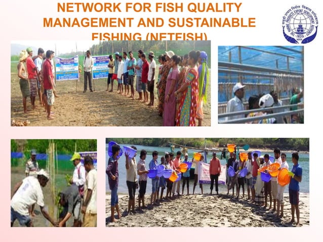 Marine Products Export Development Authority (MPEDA) | PPTX ...