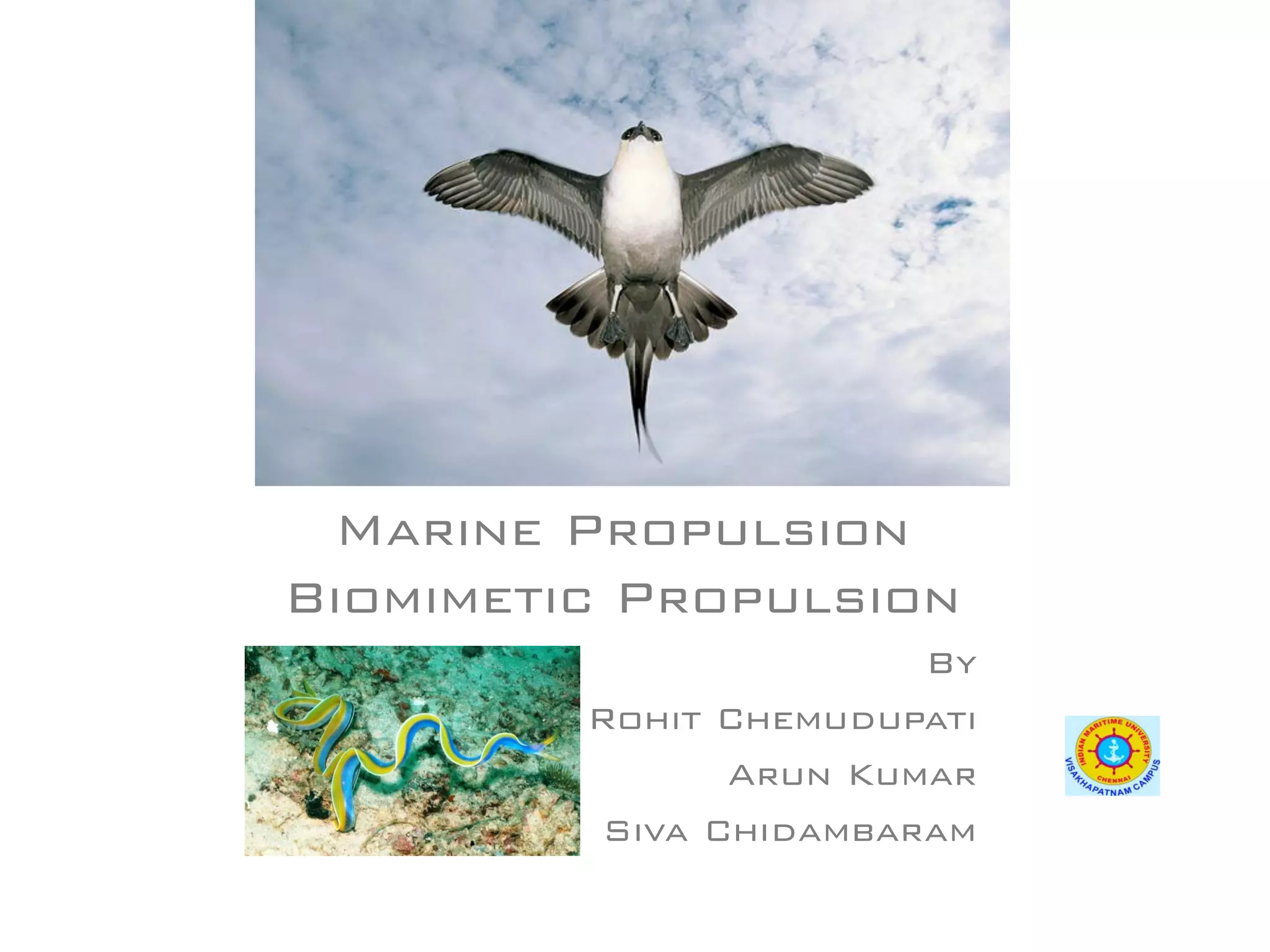 Marine Propulsion | PPT