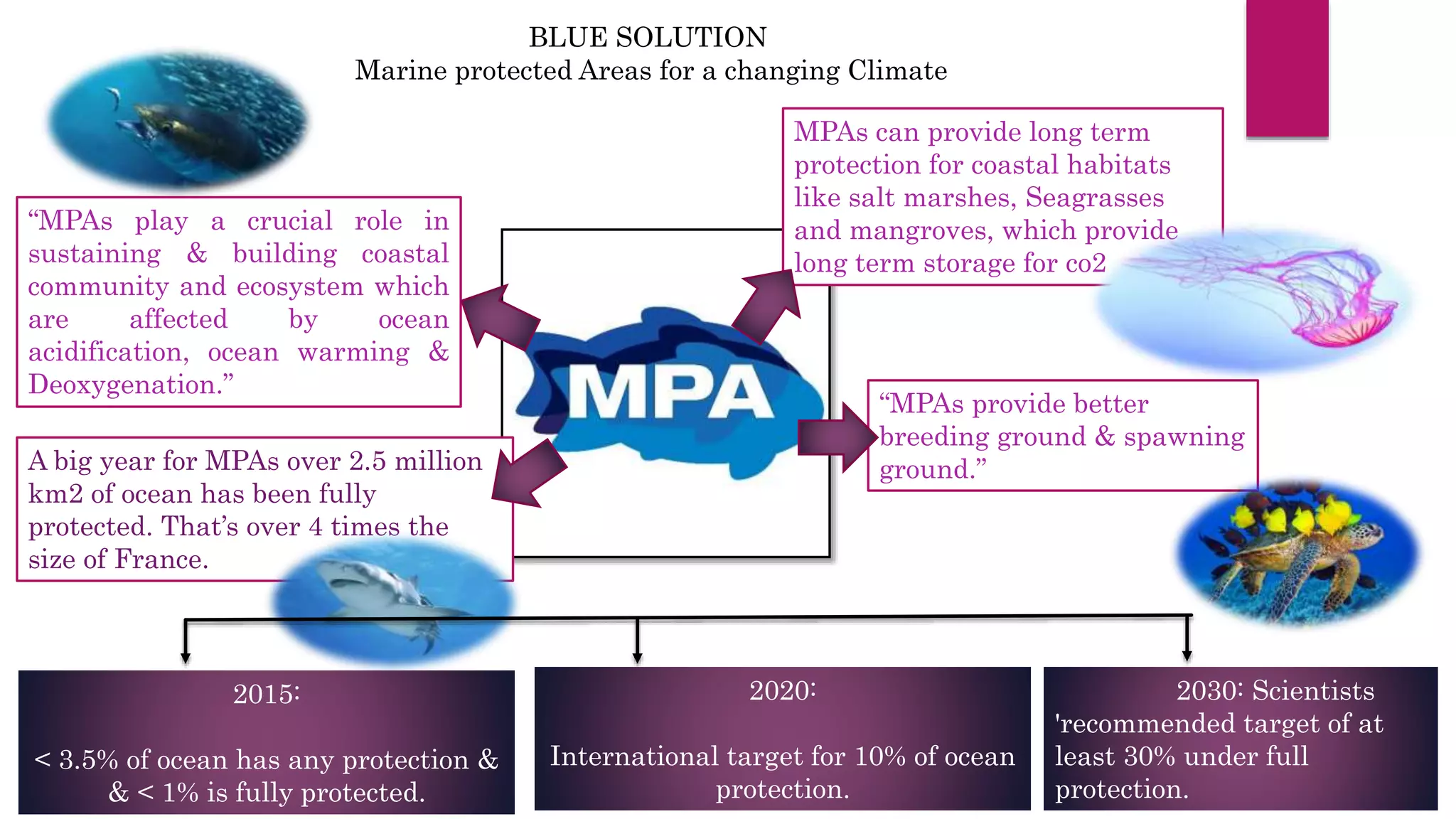 Marine protected area (MPAs) | PPTX