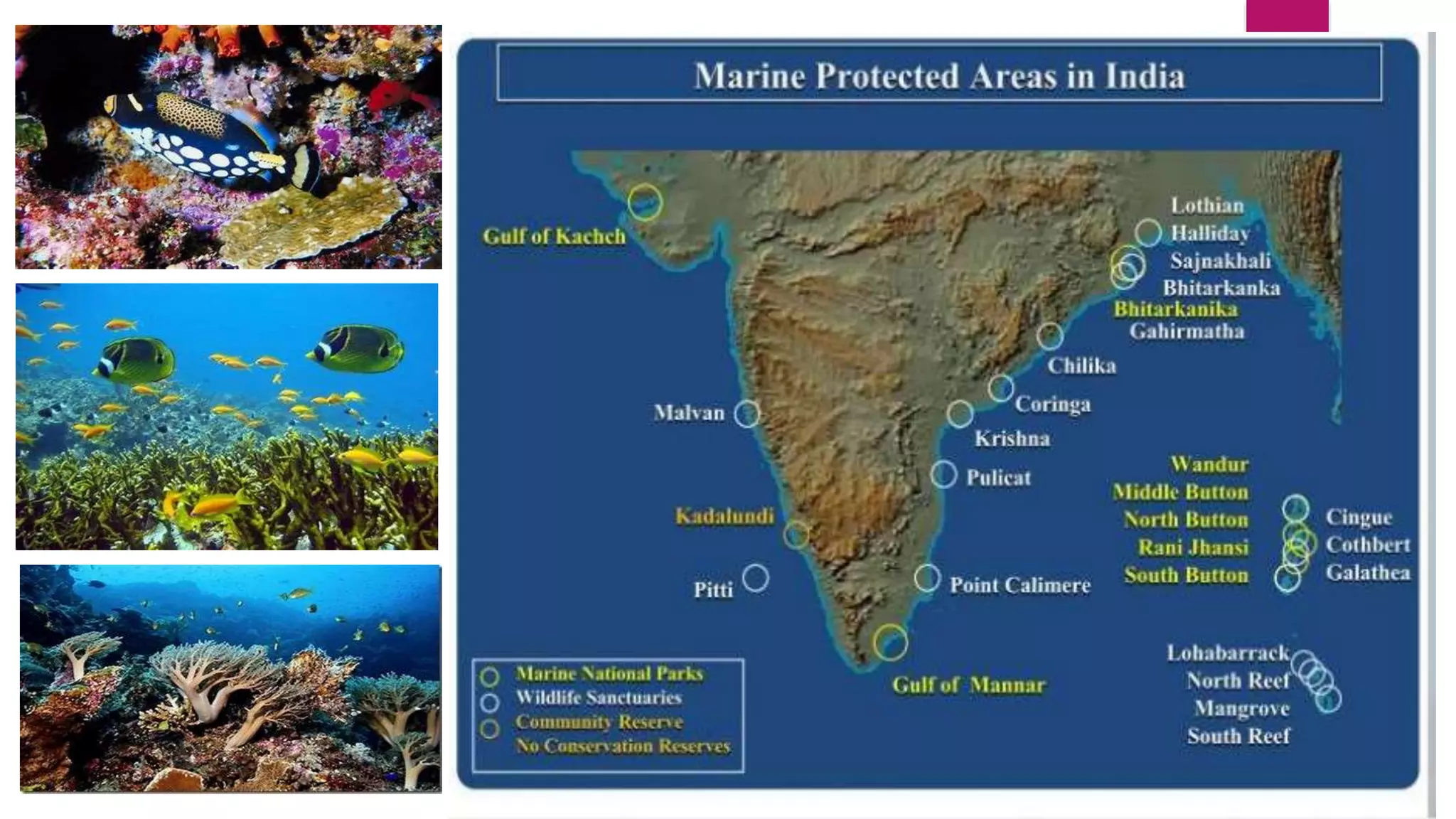 Marine protected area (MPAs) | PPTX