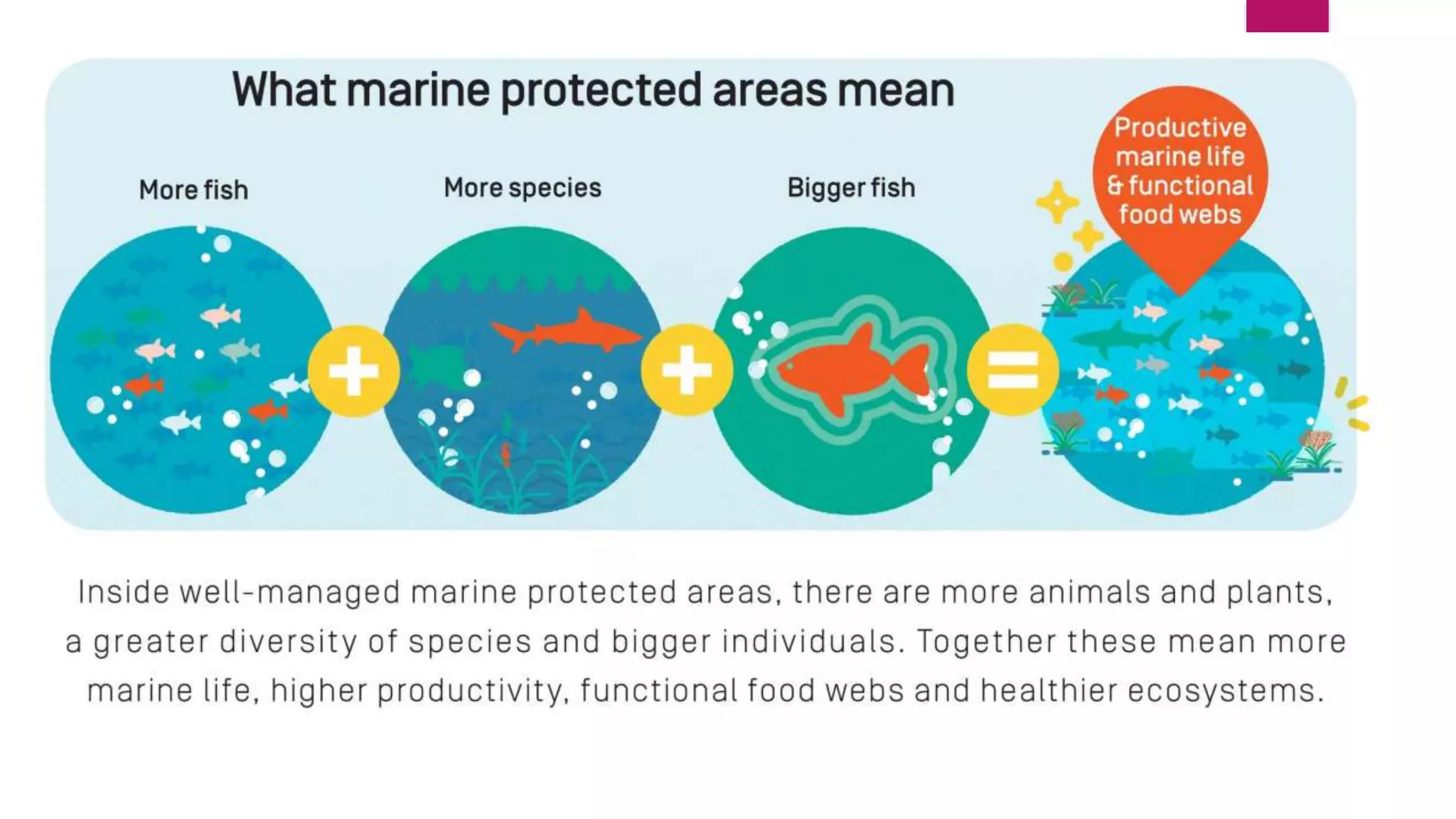Marine protected area (MPAs) | PPTX