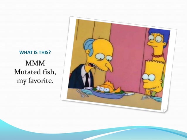 Marine protected areas | PPTX | Geography | Science