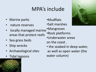 Marine protected areas | PPTX