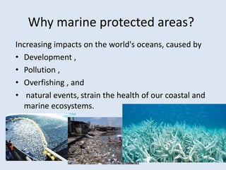 Marine protected areas | PPTX