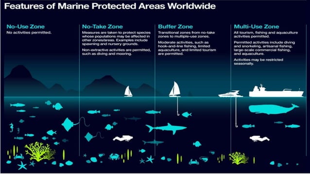 MARINE PROTECTED AREAS.pptx