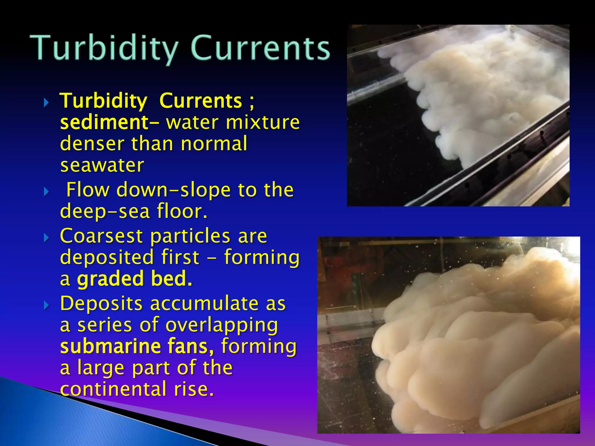 Marine Provinces | PPTX