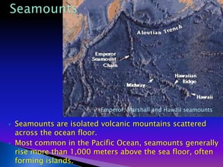 Marine Provinces | PPT