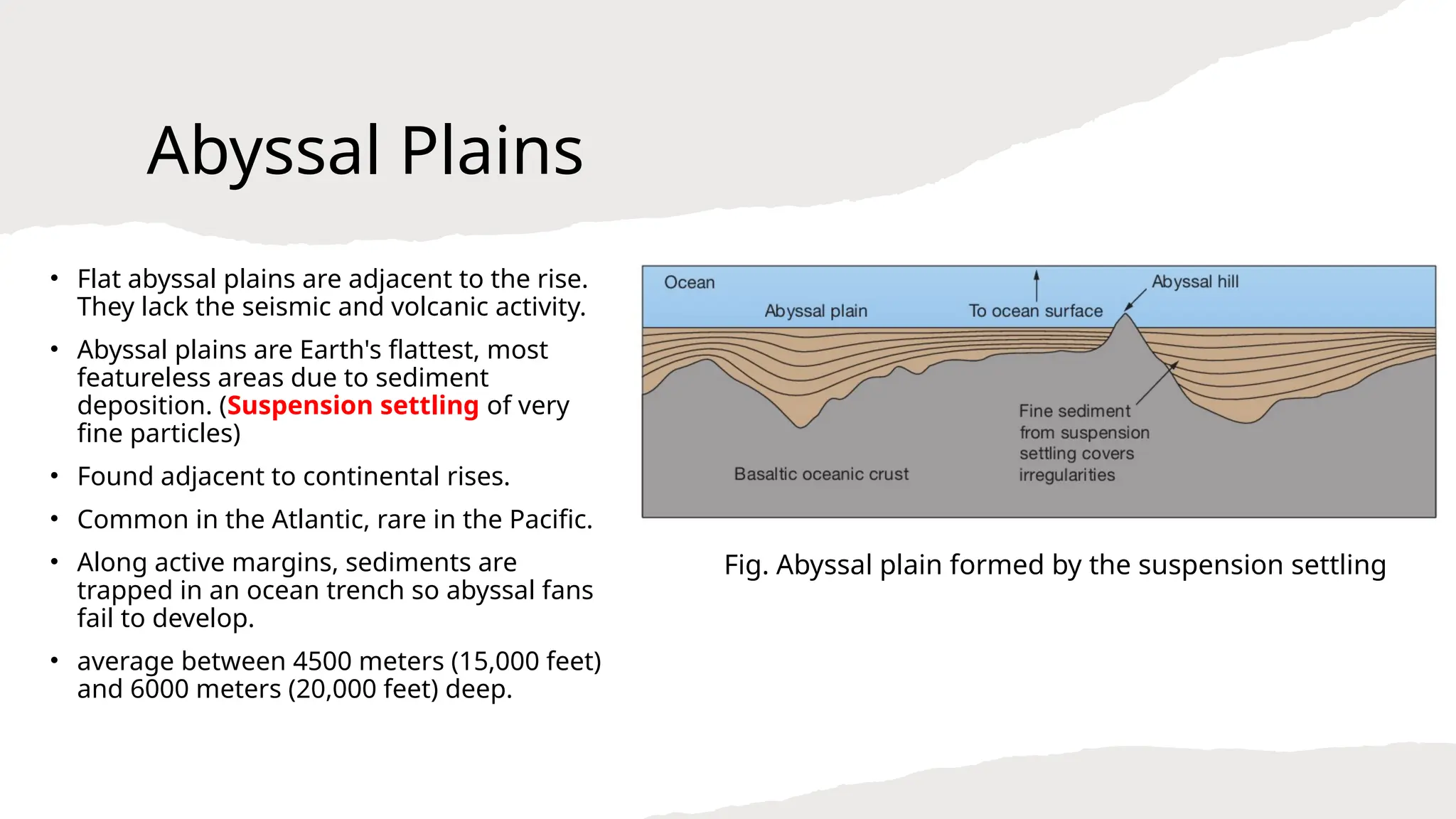 Marine Provinces and Ocean floor: Features and Processes.pptx