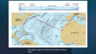 Marine Provinces and Ocean floor: Features and Processes.pptx