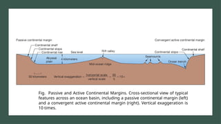 Marine Provinces and Ocean floor: Features and Processes.pptx