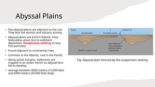 Marine Provinces and Ocean floor: Features and Processes.pptx