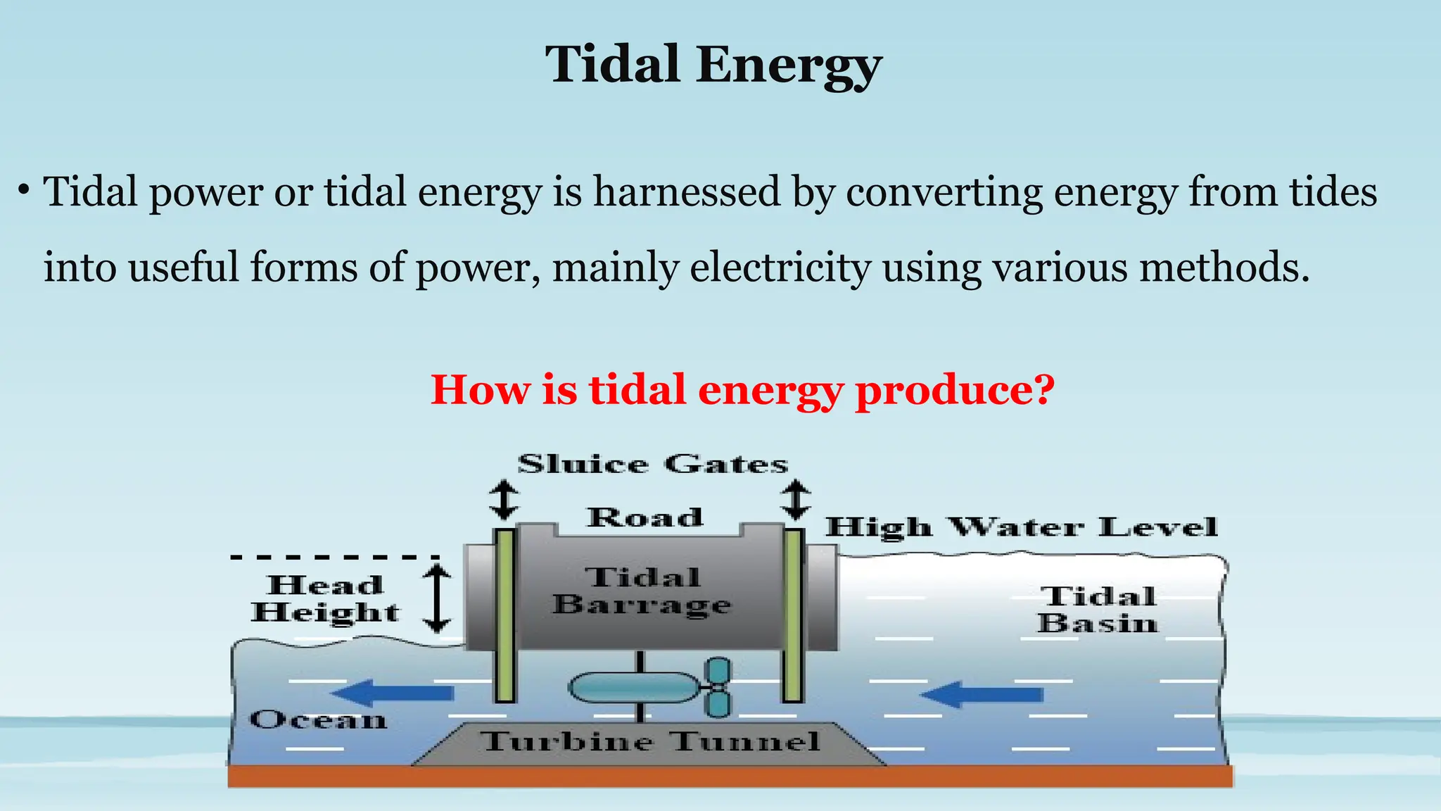 Marine Resources ! Rased Hasan Sojib! Bangladesh | PPTX