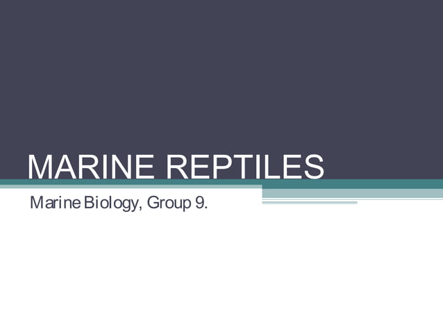 Marine Reptiles | PPT