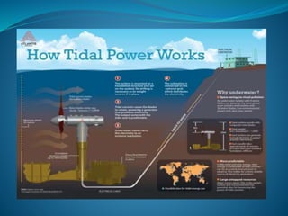 Marine resources | PPTX