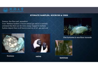 Gas hydrates | PPT